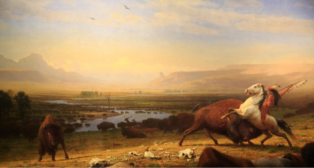 Lifestyle Practices For Optimizing Bladder Health - Ancestral Supplements