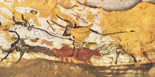 The Complete Guide To Ancestral Eye Health - Ancestral Supplements