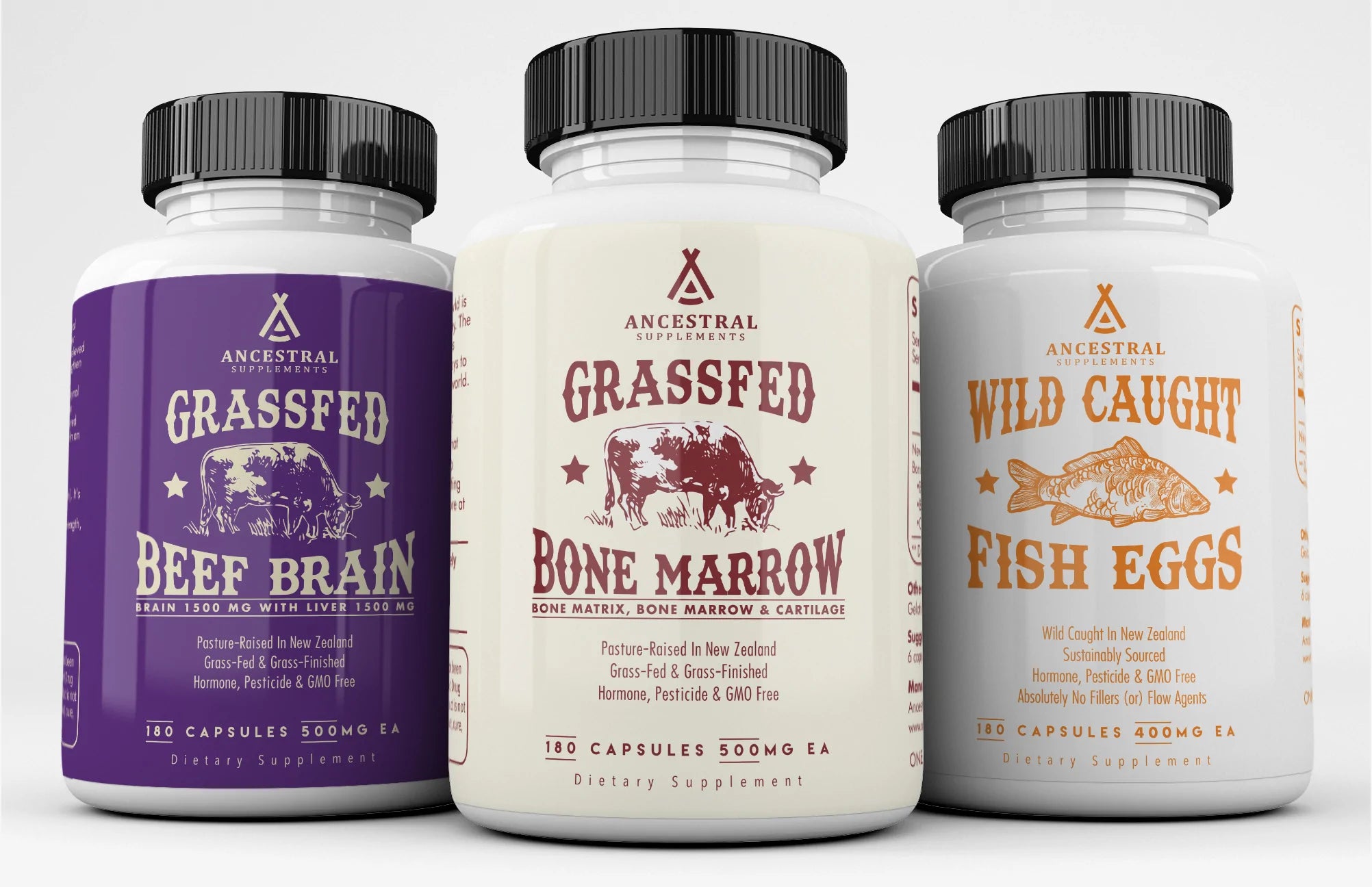 Brain Stack | Blog: The Journal of Ancestral Living - Ancestral Supplements