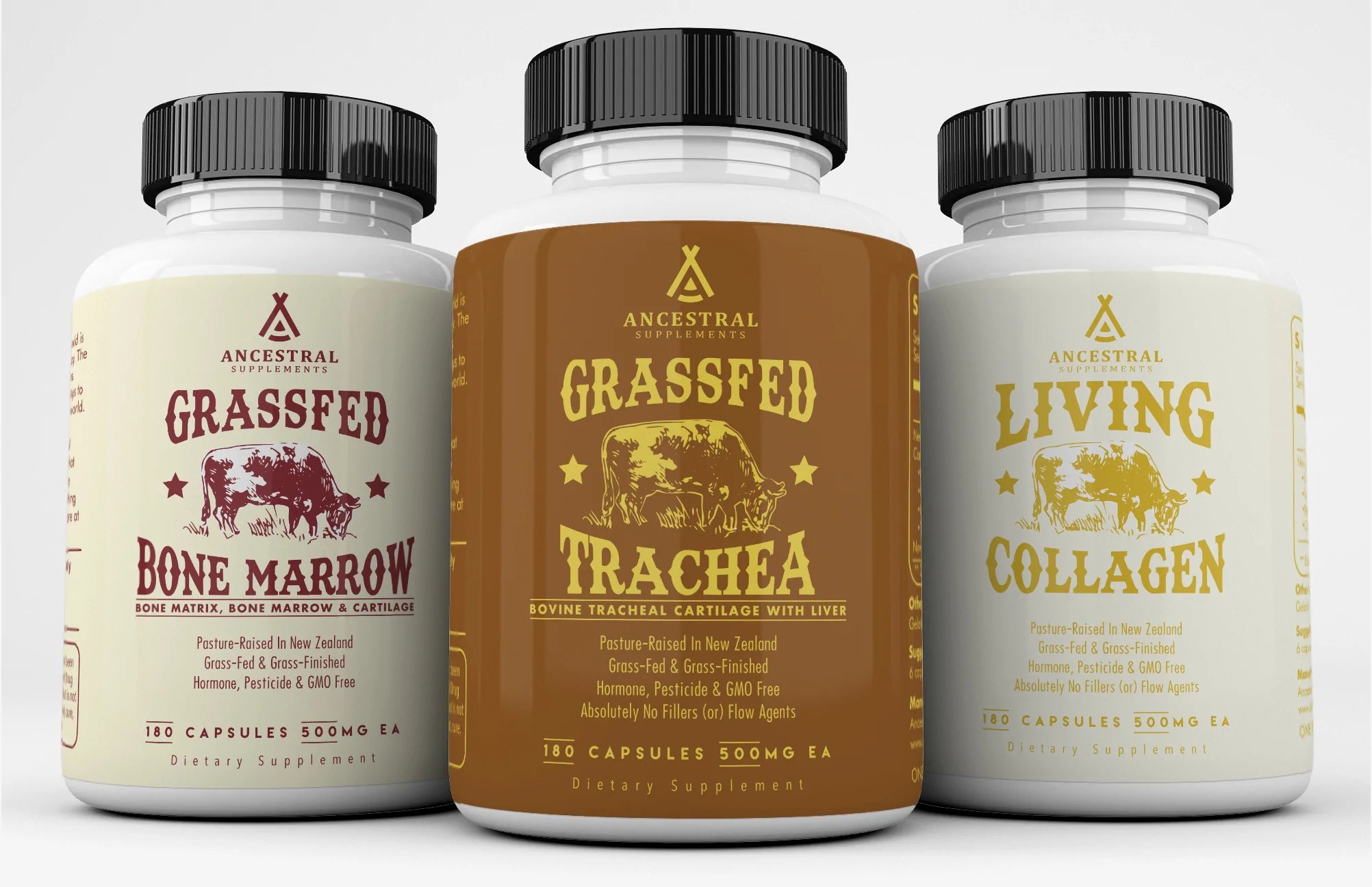 Bone and Joint Stack | Blog: The Journal of Ancestral Living ...