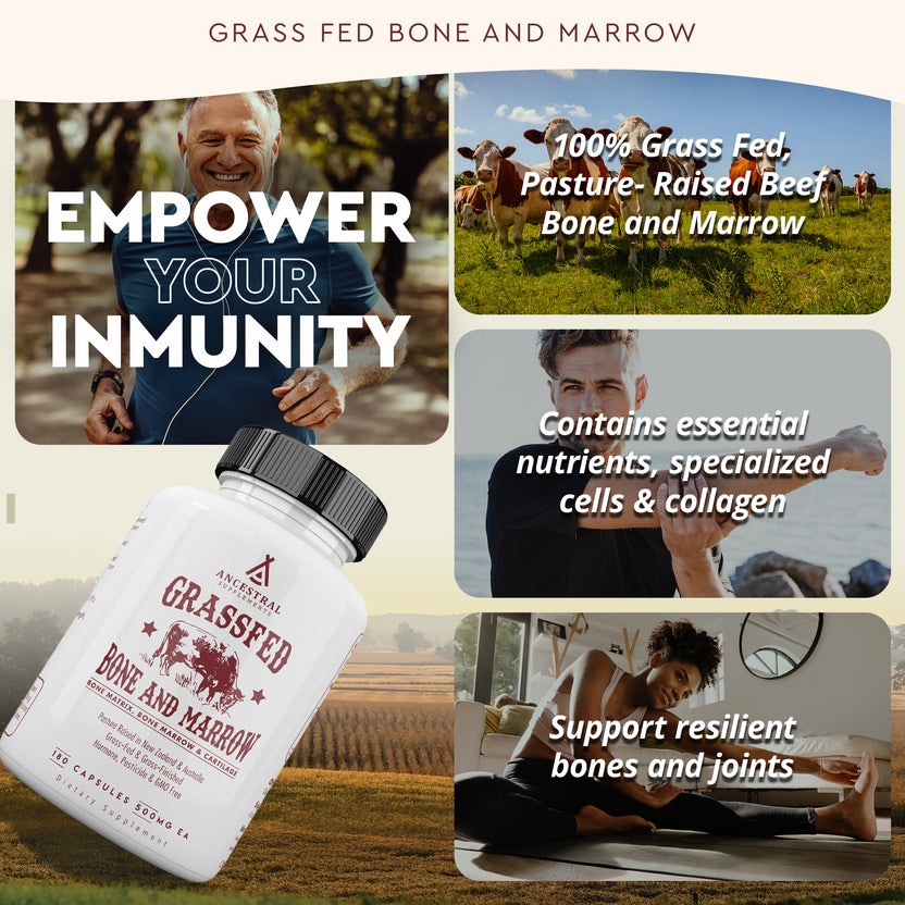 Grass Fed Beef Bone Marrow Supplement - Ancestral Supplements