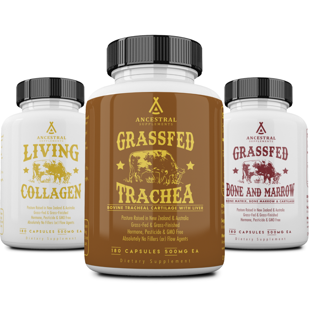 Joint & Connective Tissue - Default Title - Ancestral Supplements